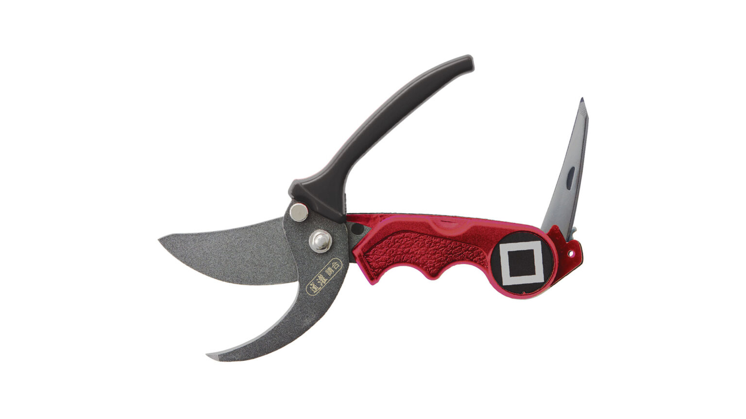 Hapyson 「アニサキスライト」～Hapyson×津本式コラボ～ – 公式