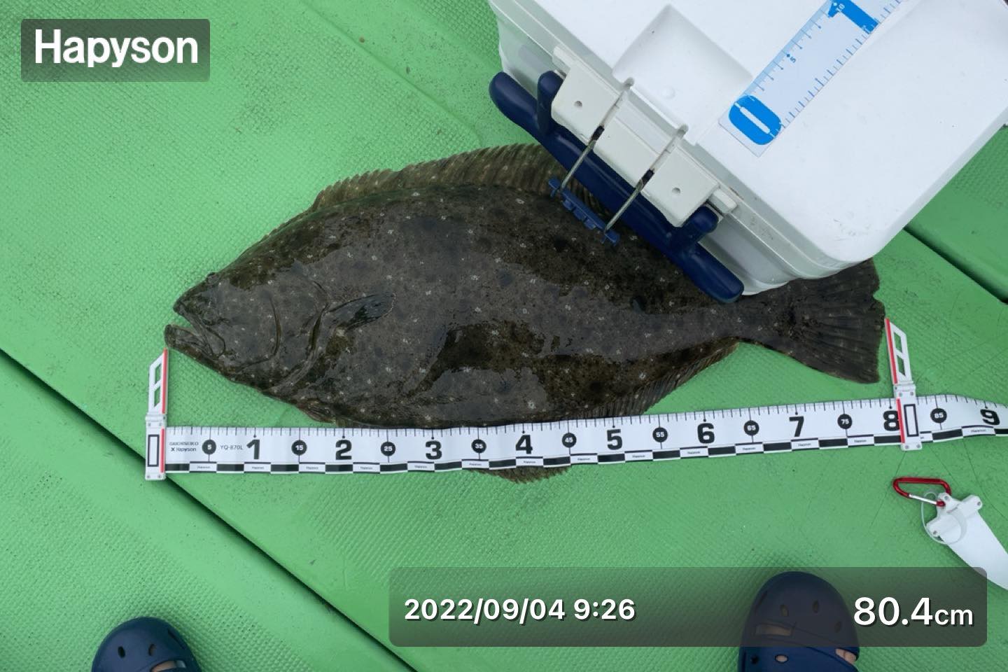 【大判！！】福島ヒラメジギング – Hapyson