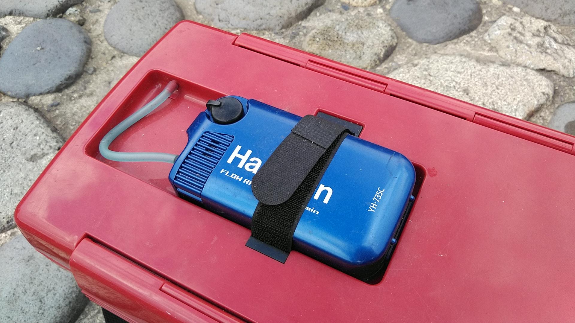 秋の長良川を釣る！郡上鮎の釣果速報！9月の鮎釣りは深瀬で良型連発！in漁協前 – Hapyson